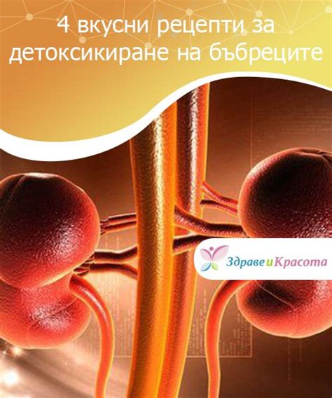 4 вкусни рецепти за детоксикиране на бъбреците Бъбреците са