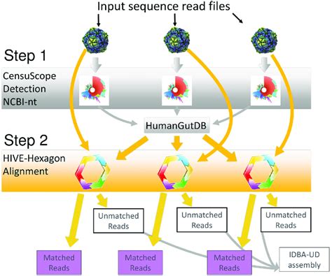 metagenomic analysis pipeline for 3 samples step 1 censuscope is run download scientific