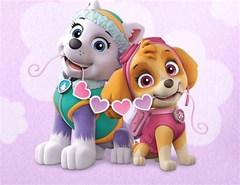 Pin By Dragonballgtjavier On Nickelodeon Paw Patrol Birthday Party