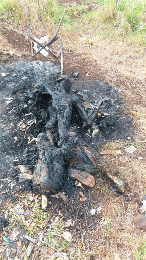 Imagens fortes corpo é encontrado carbonizado na fronteira JD1 Notícias