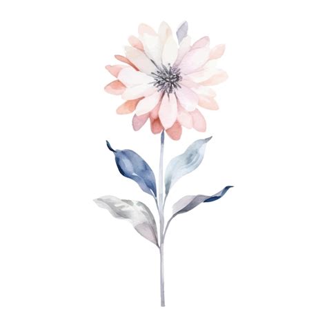 Aquarela Flor Planta Ilustra O Vetor Premium