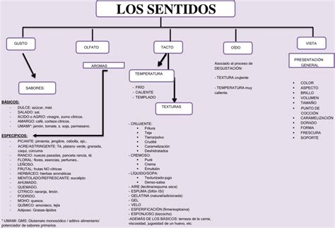 Arriba 109 Imagen Mapa Mental Del Tacto Abzlocal Mx