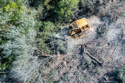 Fundación Greenpeace Argentina Informe de Greenpeace aumento de los