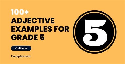 Adjective 99 Examples How To Use PDF Tips