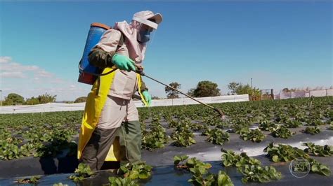 Anvisa aprova novo marco regulatório de classificação de agrotóxicos