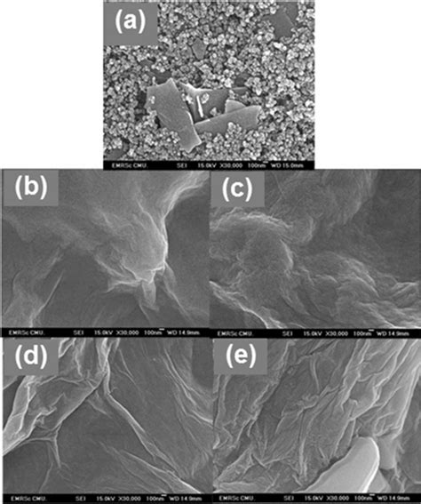 Fe Sem Images Of Bare Spce A And Go B Cu Ii Go C Rgo D