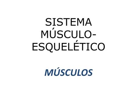 PPT SISTEMA MÚSCULO ESQUELÉTICO PowerPoint Presentation free