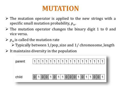 genetic algorithm
