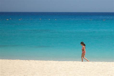 Snorkeling At Mahmya Island From Hurghada