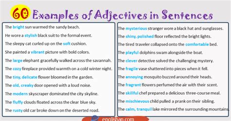 Examples Of Adjectives In Sentences Englishan