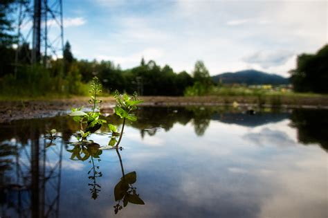 Fotos gratis reflexión Cuerpo de agua naturaleza los recursos