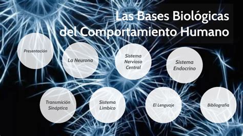 La Base Biológica del Comportamiento Humano by Mariana Dominguez on Prezi