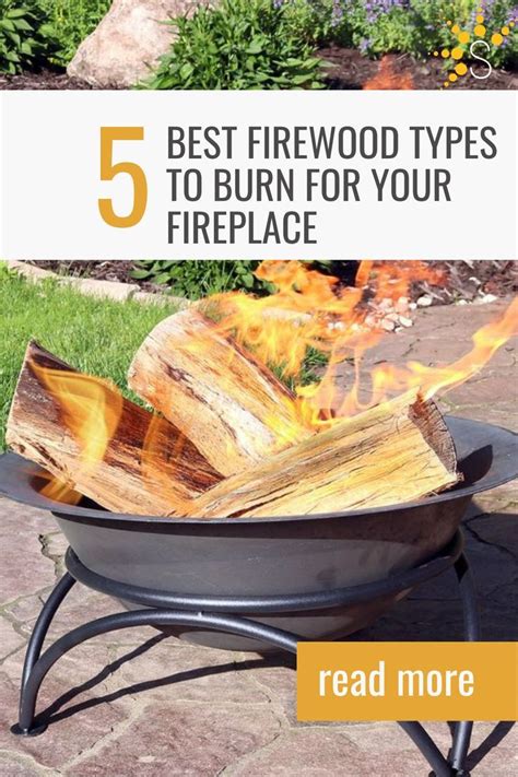 5 Best Firewood Types To Burn For Your Fireplace