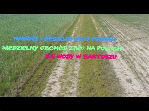 Nawozy I Deszcze Du O Pomog Niedzielny Obch D Zb Na Polach Ile