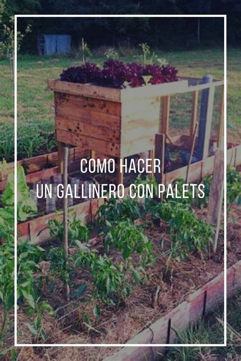 Agricultura Ecol Gica P Gina De Ecoinventos