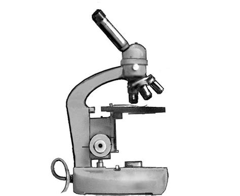 Parts And Functions Of The Compound Light Microscope Diagram Quizlet