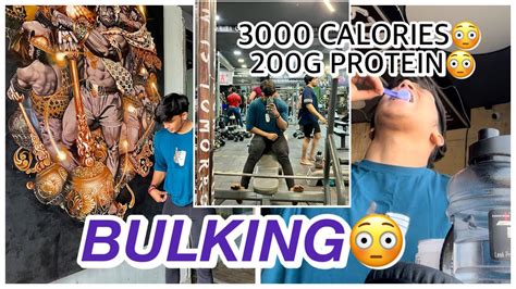Full Day Of Eating For Bulking Calories Gprotine Percent