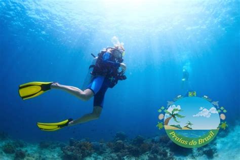 12 Dos Melhores Lugares Para Mergulhar No Brasil Praias Do Brasil