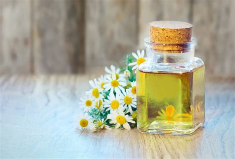 Descubre Las Propiedades Medicinales De La Manzanilla