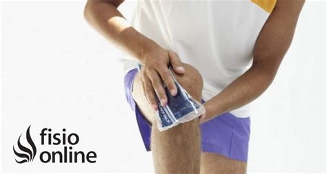 Descubre La Sorprendente Funci N Del M Sculo Recto Abdominal Coinref Es