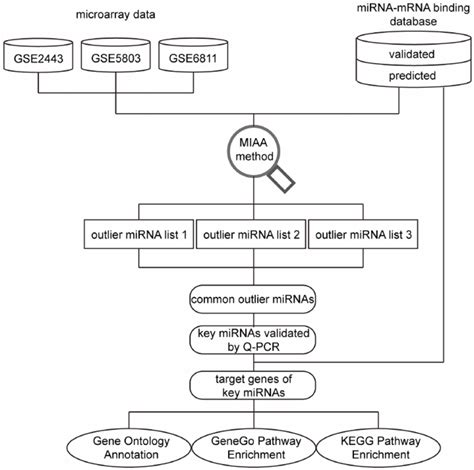 schematic of the data analysis pipeline gene expression profiles from download scientific