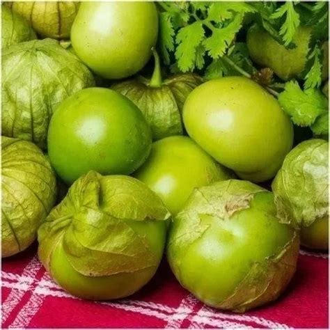 Semillas De Tomatillo Verde Physalis Ixocarpa La Tienda De Jorge