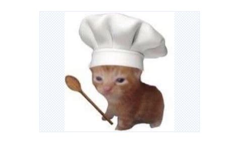 El Gato Memes Imgflip