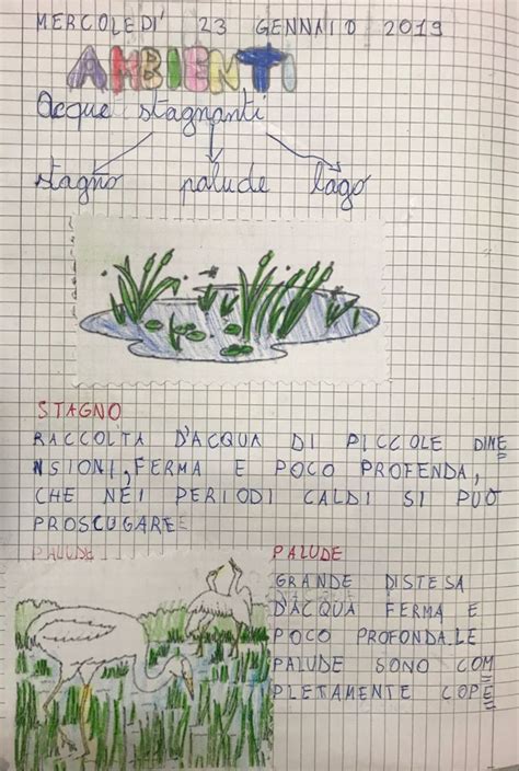 I Paesaggi Naturali E Antropici Classe Seconda Work In Progress