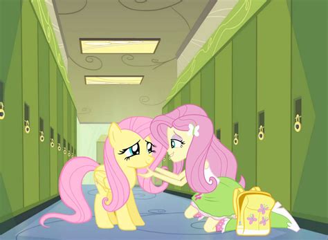Safe Artist Conthauberger Fluttershy Pegasus Pony
