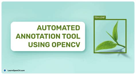 automatic annotation tool free learnopencv