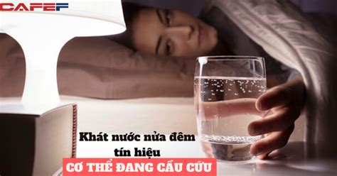 Nửa đêm tỉnh giấc thấy miệng đắng ngắt và khát nước không rõ lý do chớ
