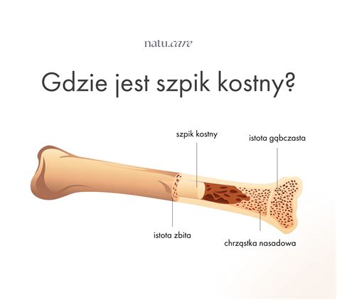 Jak oddać szpik kostny Czyli Światowy Dzień Dawcy Szpiku Cukrzyca pl