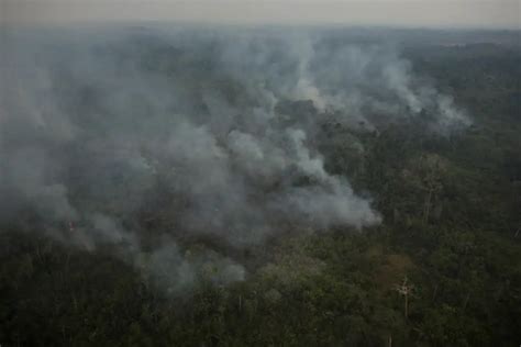 Queimadas Na Amaz Nia Persistem Governo Do Par Decreta Emerg Ncia