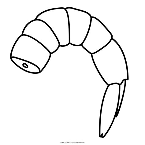 The Best 26 Dibujos De Gambas Para Colorear Factstudentcolor