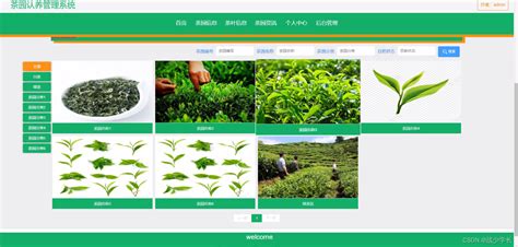计算机毕设ssm茶园认养管理系统q82vw（开题 源码） 茶园 认养 方案设计 csdn博客