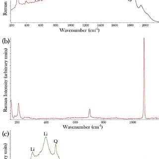 Raman Spectra Obtained From A Gastropod Shell And The Infilling