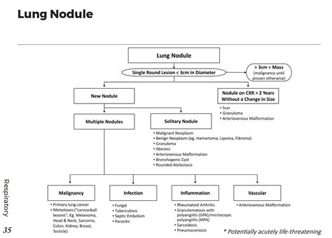 lung nodule differential diagnosis algorithm nodule grepmed