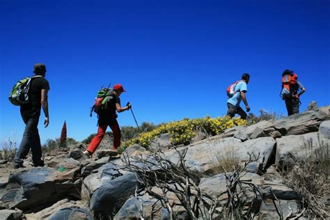 Hiking Clubs Join A Club For A Better Hiking Experience HikingInk