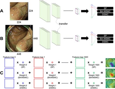 endoscopic diagnosis and treatment planning for colorectal polyps using a deep learning model