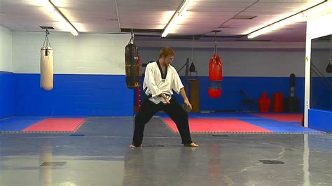 Traditional Tae Kwon Do Ohdokwan Po Eun Performed By Mathew Joki