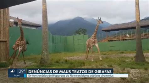 Vídeo Justiça aceita denúncia de maus tratos e irregularidades na
