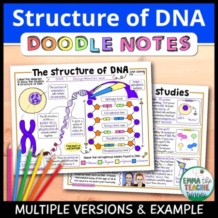 Dna Replication Doodle Notes Emmatheteachie
