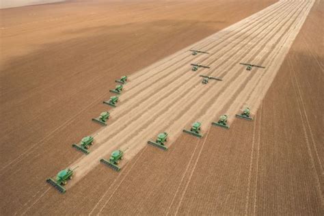 Novo Rei da Soja tem mais de 581 mil hectares veja o vídeo