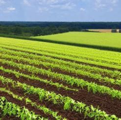 Agricultura Agronomia On Twitter