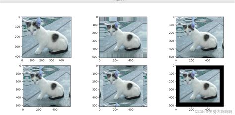opencv——实验结果输出《图像基本操作》 计算机视觉如何输出图片处理结果 csdn博客
