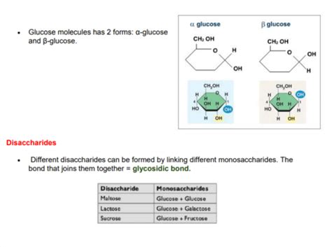 Biology Unit Carbohydrates Flashcards Quizlet