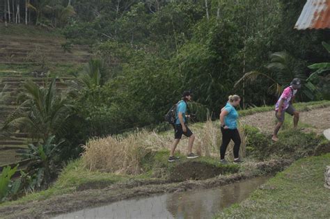 Jatiluwih Nemli Noktalar Trekking En Iyi Bali Do A Ve K Lt R