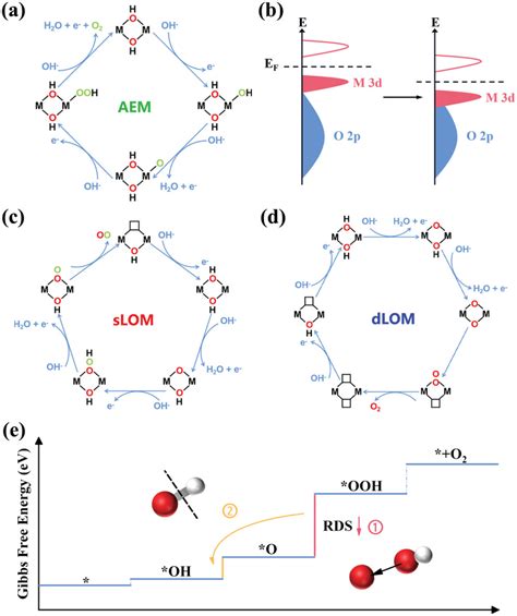 Oxygen Defect Engineering Promotes Synergy Between Adsorbate Evolution