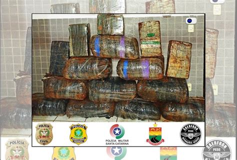 Operação conjunta das forças de segurança resulta na apreensão de 300kg