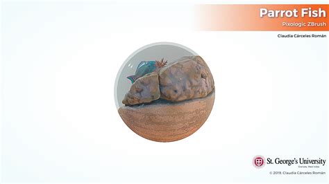 Parrot Fish Diorama Duplicated Version 3D Model By The Center For